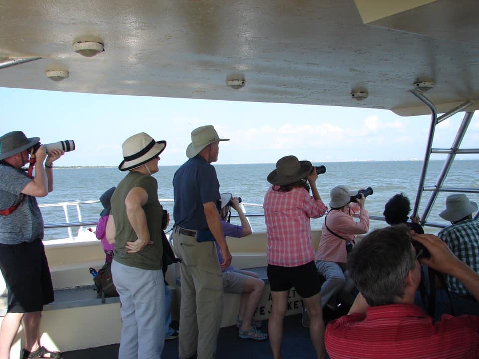 What To Expect – Birding for Fun